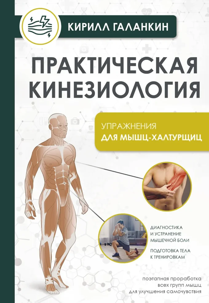 Практическая кинезиология. Упражнения для мышц-халтурщиц — Biblion